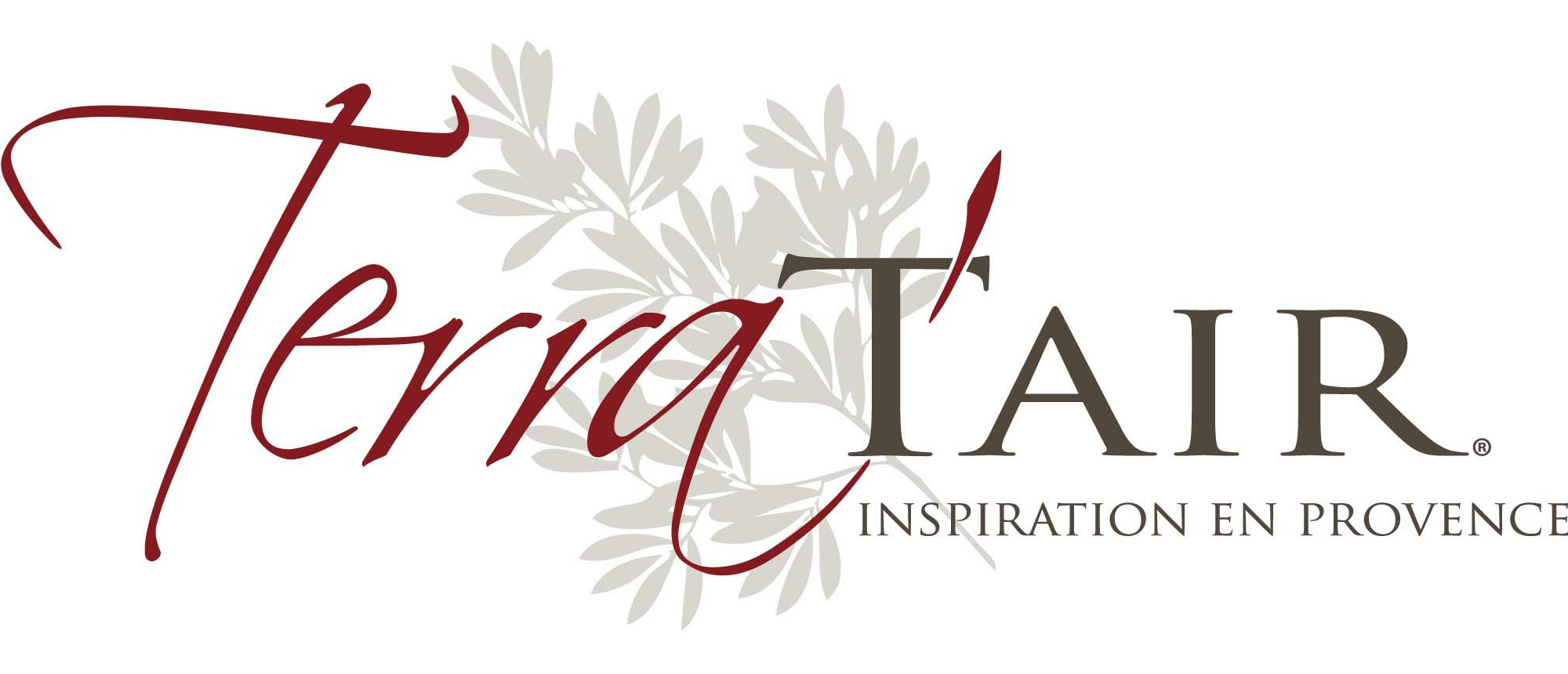 La bouillabaisse 1979 - Terra T'Air - Safran en Provence